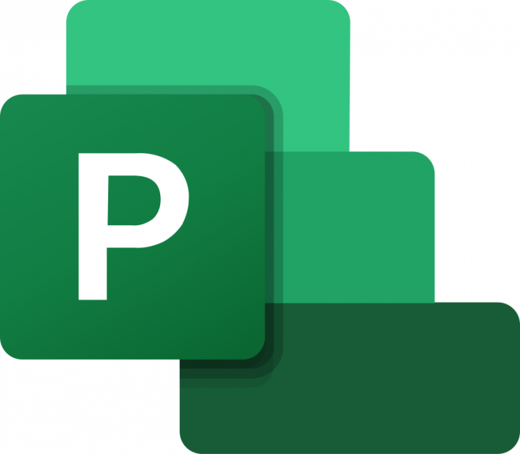 Microsoft Project Online Professional Add-on - subscription license (1 month) - 1 user AAA-22531 ...